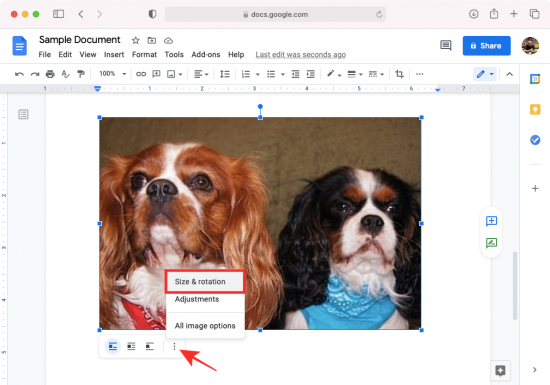2 Ways to Flip Images in Google Docs
