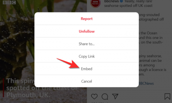 What Does Embed Mean On Instagram?