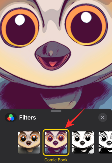 How to Use FaceTime Effects on iPhone