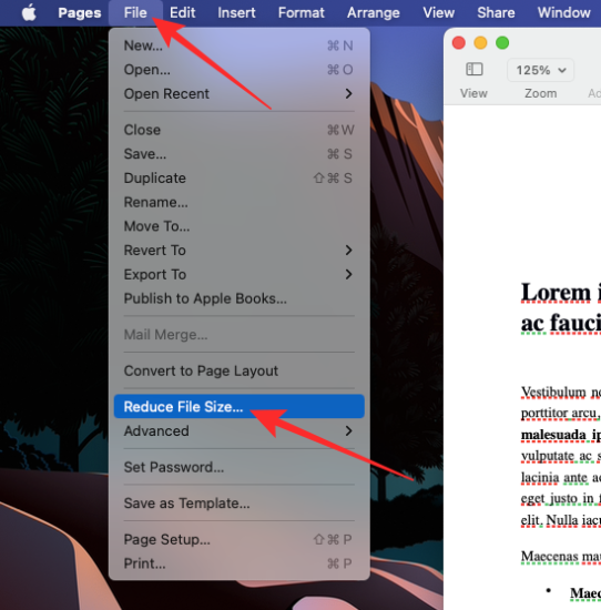 5 Ways to Make Files Smaller on Mac