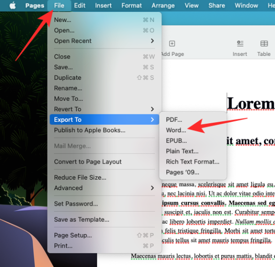 6 Ways to Open a Pages File on Windows 11