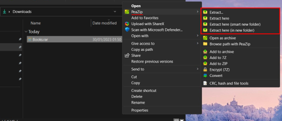 How to extract files in Windows 11 [AIO] [2024]