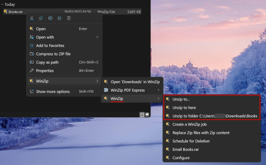How to extract files in Windows 11 [AIO] [2024]
