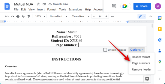 How to Add a Running Head in Google Docs [2024]